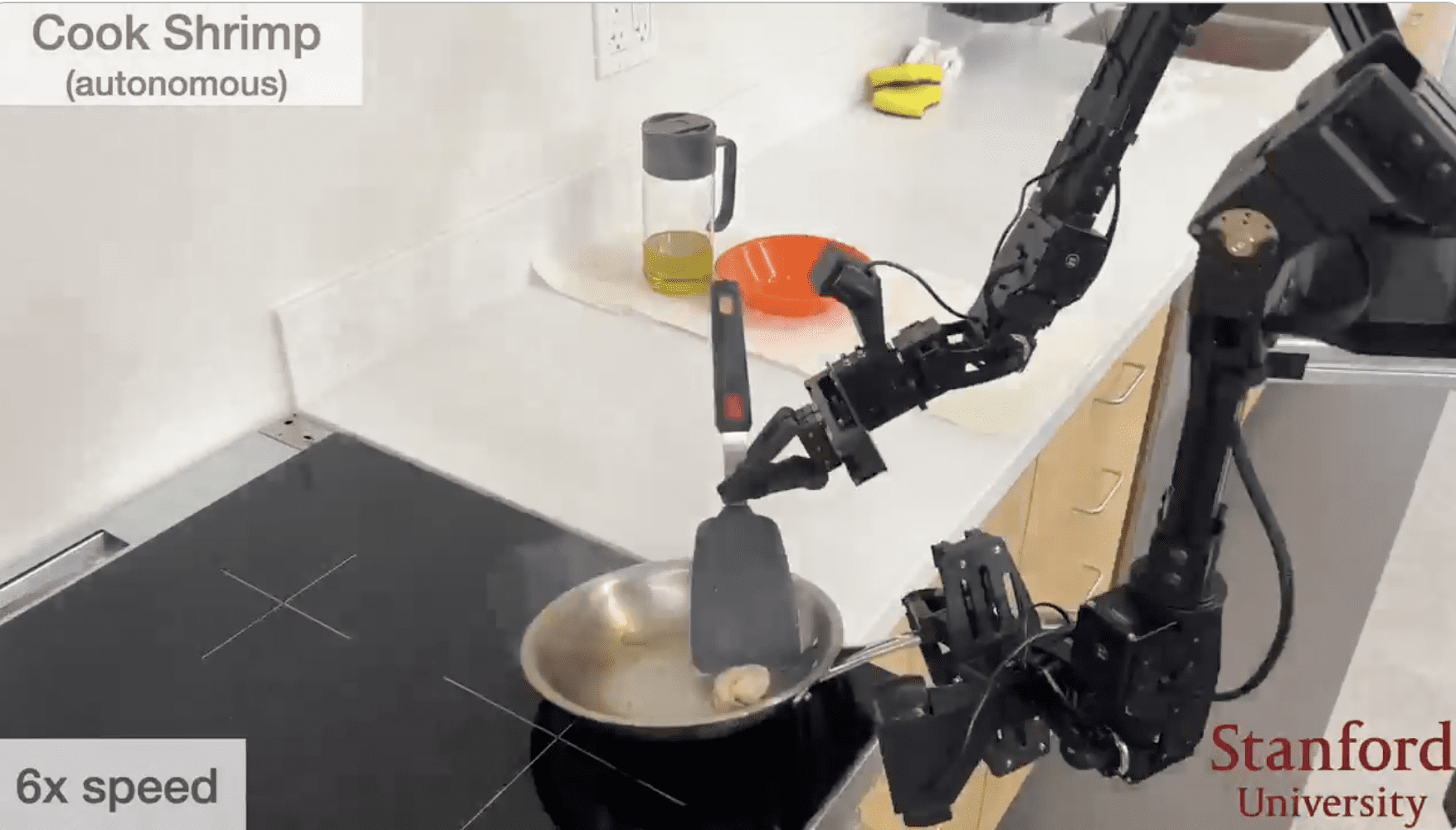 Google Mobile ALOHA: The Future of Household Robotics